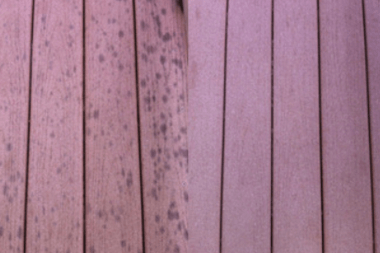 Top 3 Problems With Composite Decking